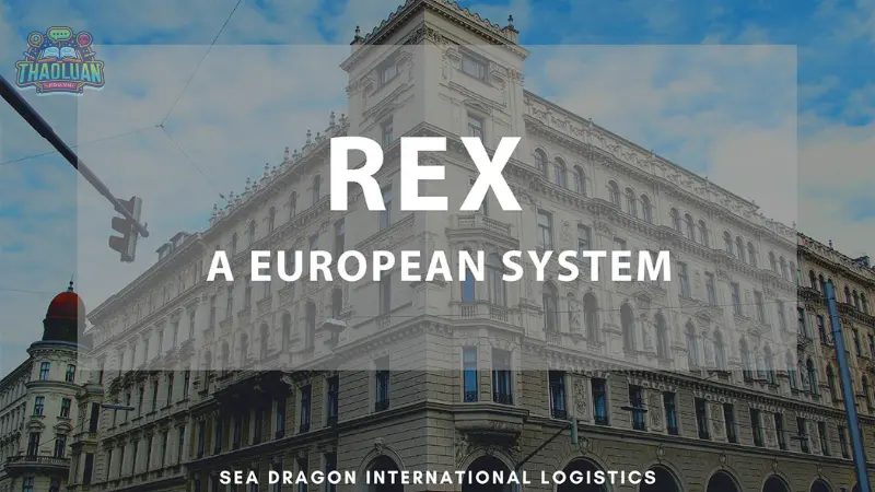 Hướng dẫn cách tra cứu mã REX nhập khẩu đơn giản và chính xác